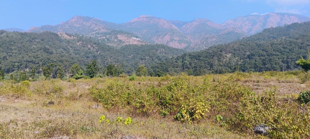 Patkote Hill View Land for Sale in Uttarakhand
