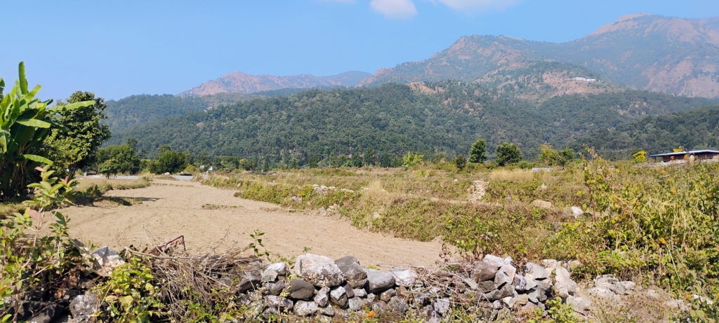 Patkote Agriculture land - squarefootinvestor.in