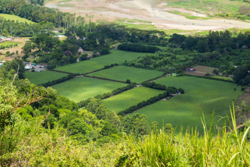 Buy Agriculture Land in Kalagarh: Check Prices & Trends Now!